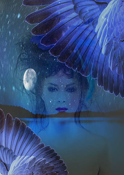 The Magic Flute Reduced Orchestration - Opera Orchestrations